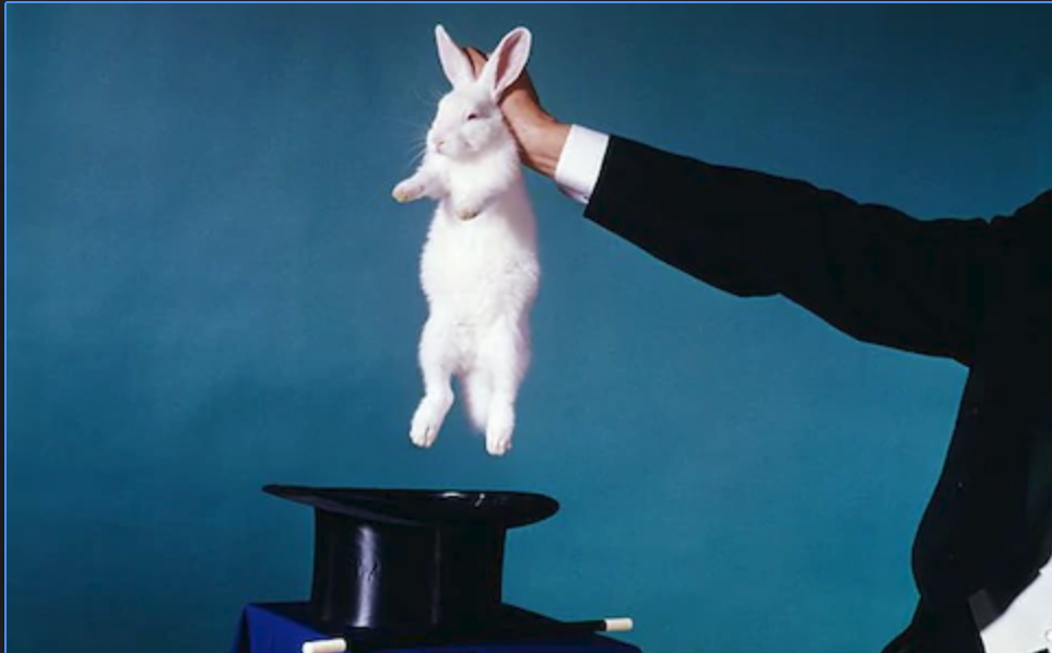 Two magic words for when Life is moving too fast | gina drellack